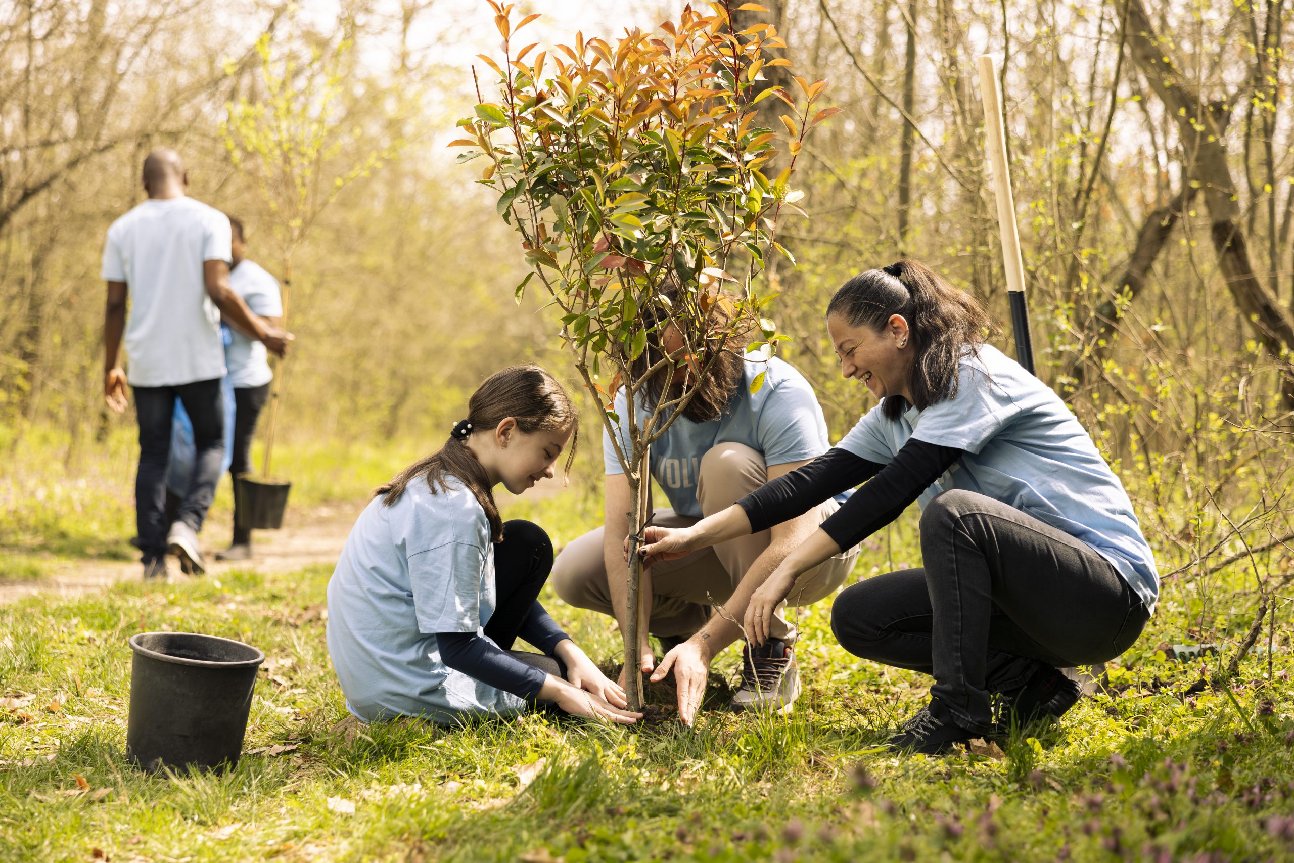 GermanEnergies | Plant-A-Tree Program